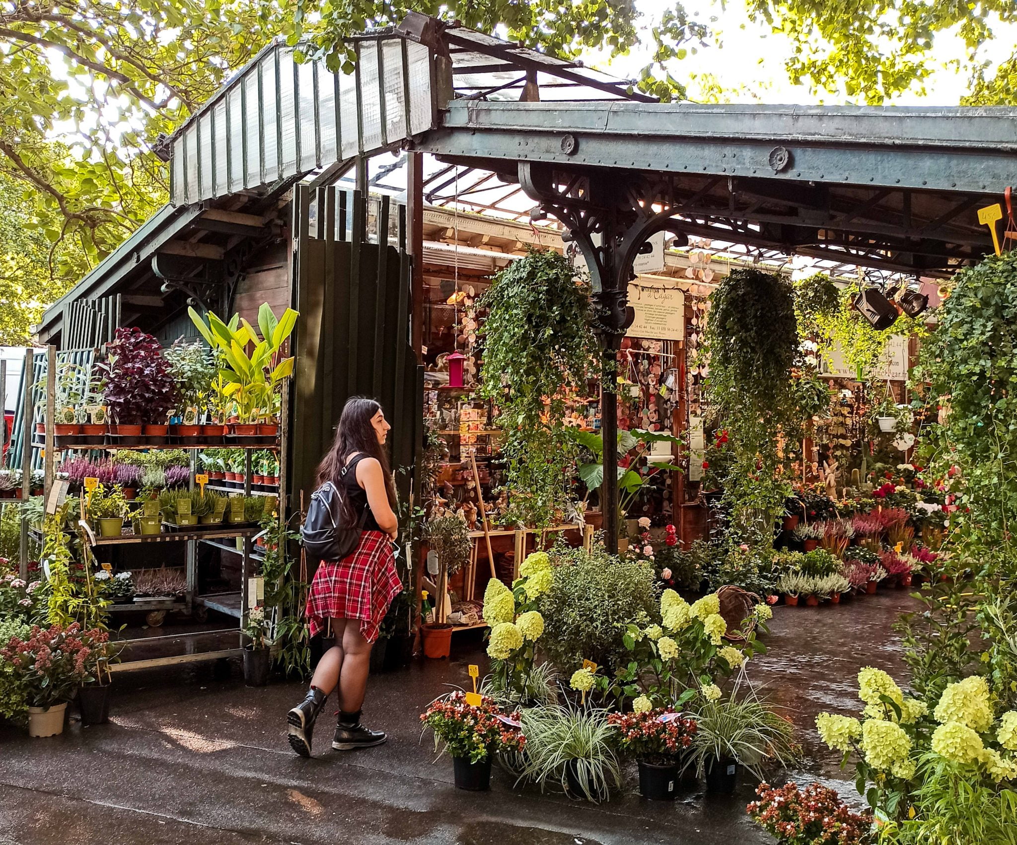 Islas de París: Lugares Imprescindibles en la Cité y Saint-Louis